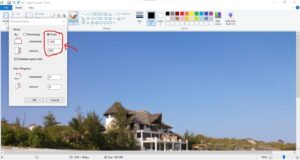 How to Resize an Image in Paint Quickly? - Oualator
