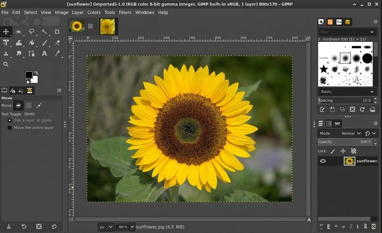 How to Resize an Image in GIMP: Complete Guide - Oualator